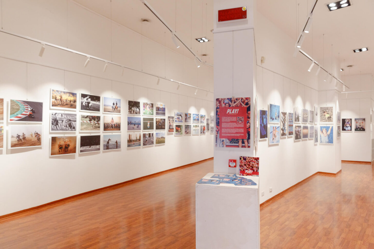 "Urban Animals" arrives at Trieste Photo Days: An immersion into the ...