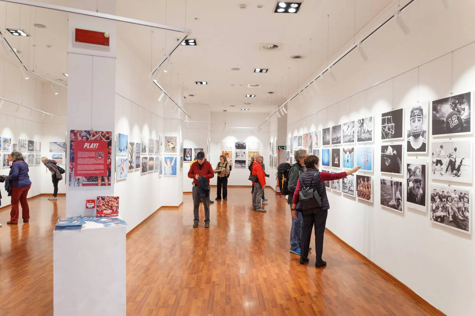 "Urban Animals" arriva al Trieste Photo Days: un'immersione nel ...